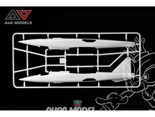 A&A Models - Oupsmodel